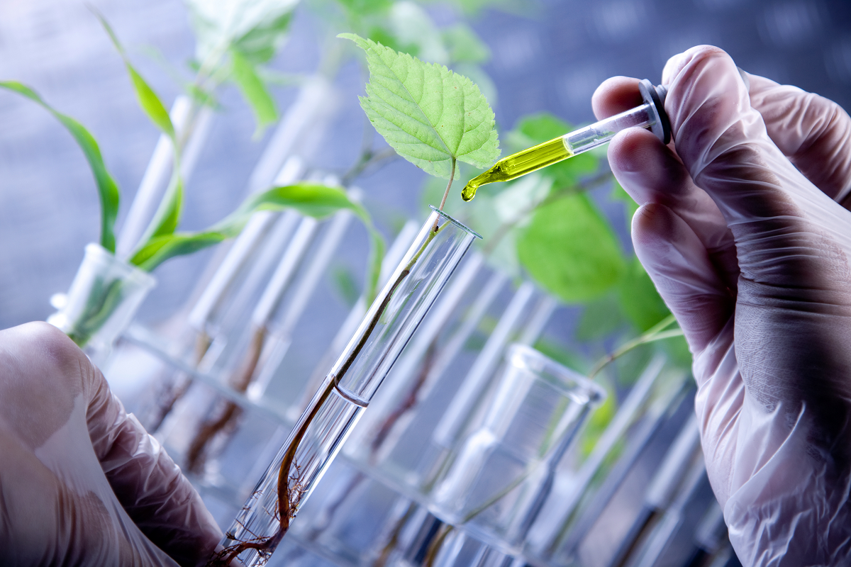 What Are Alternative Solvents ExtractionGradeSolvents What Are Alternative Solvents ExtractionGradeSolvents